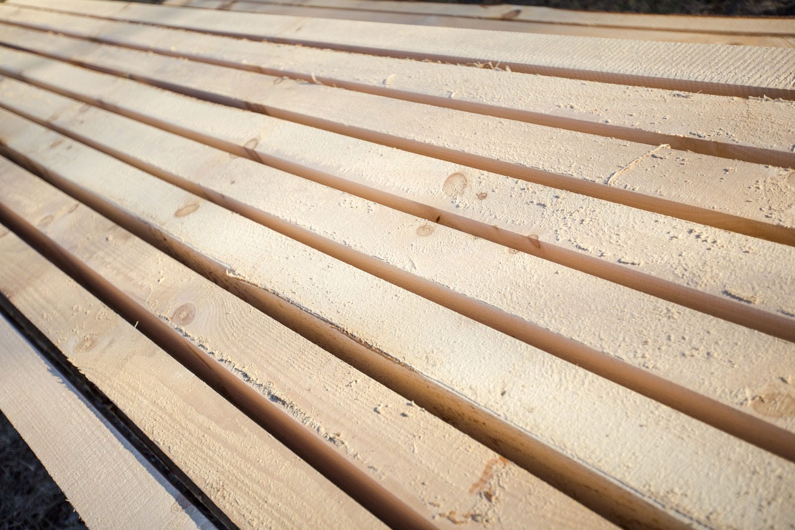 North Carolina Timberframing Workshop