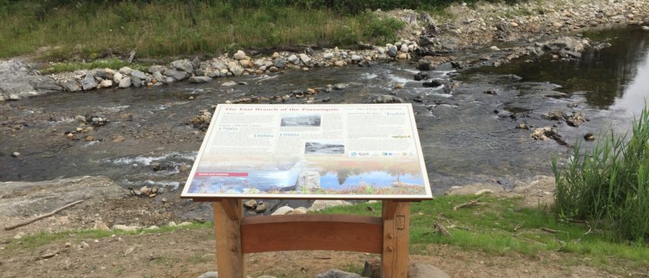 Interpretive Signboard: Classic frame meets modern design