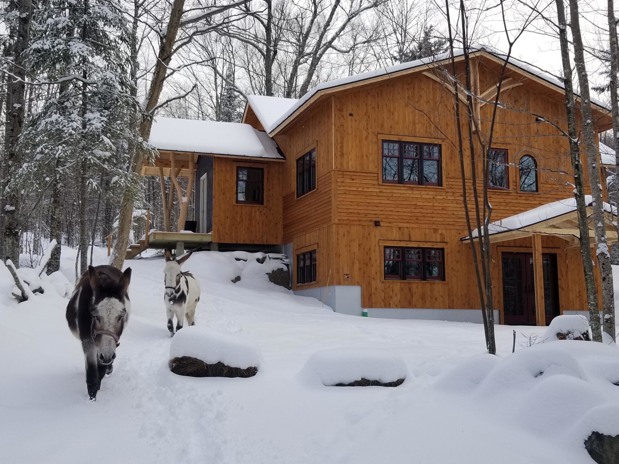 A Cruck Frame Home Lands in Stannard, Vermont